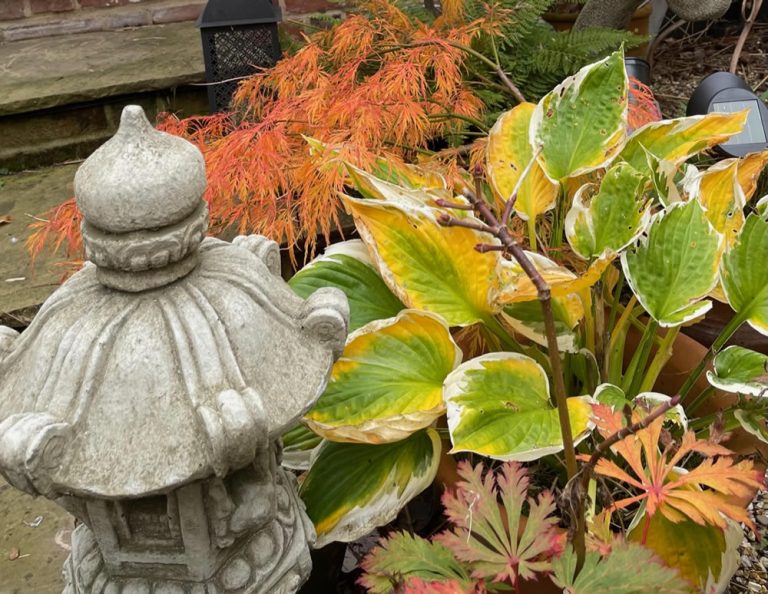 Erica James: Welcome to my website - Erica James: author